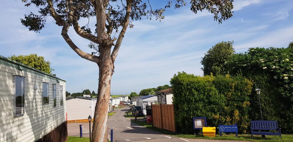 Offer of the Month - Wyldecrest Holiday Parks